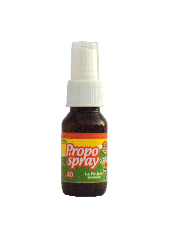 Productos Artesanales de Miel: Propo Spray