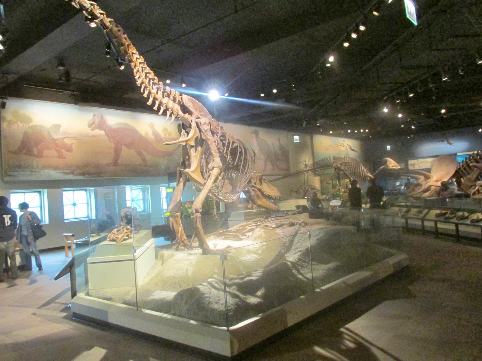 What happens when a non-accredited paleontology fan blogs: An Overview ...