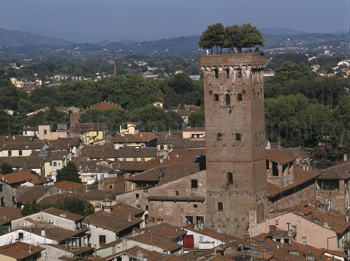Flash sul mondo ... di tutto, di più: Guinigi,la torre medievale di ...