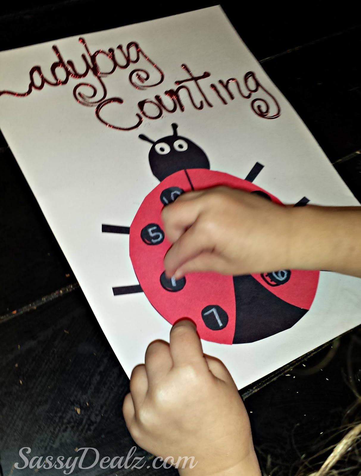 DIY: Ladybug Number Counting and Matching Activity/Craft For Kids ...