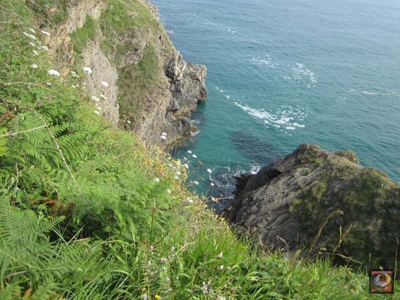 Paisajes para descubrir: Senda Itsas Lur de Pobeña a Cobarón en Muskiz ...