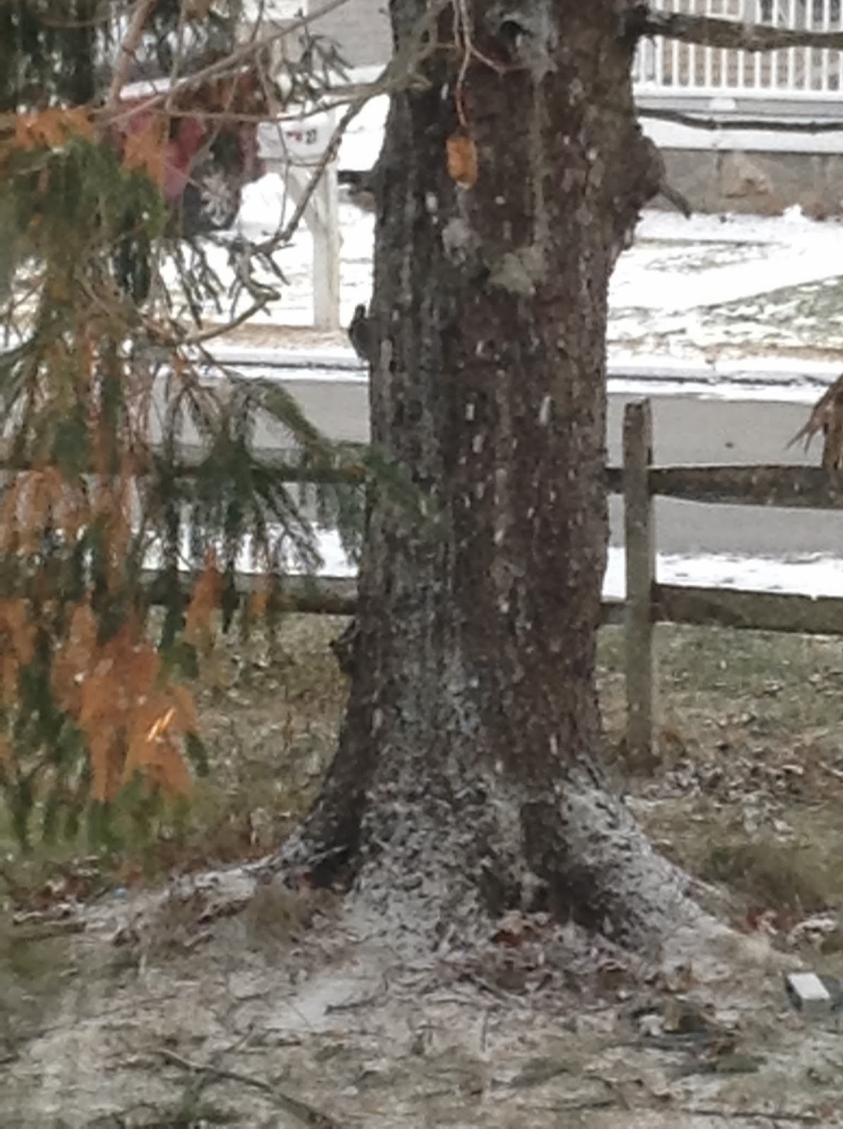 Advanced Computer Applications