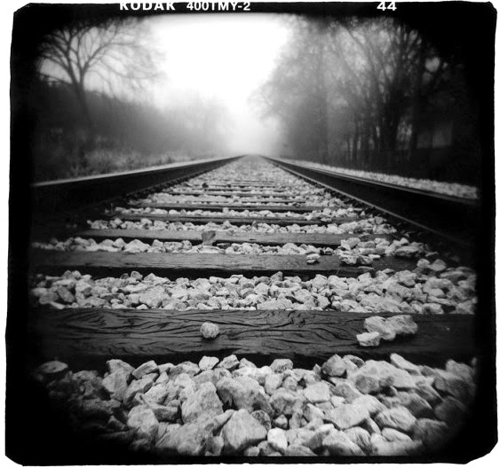 Annie's Artist Lookbook: Liz Potter Photography