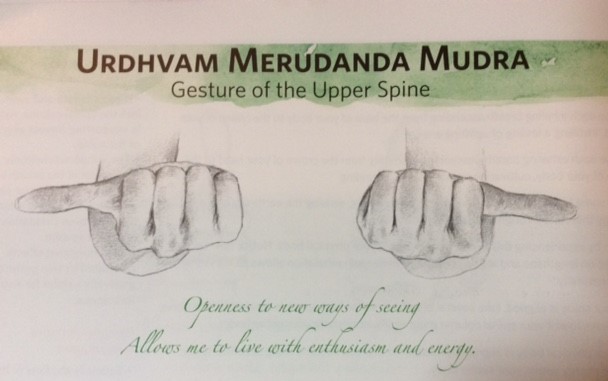 Art/Yoga Fusion: Family of Mudras - Adhi, Adho Merudanda, Merudanda ...