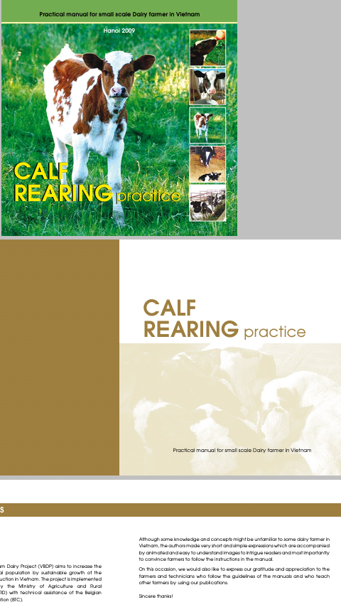 CALF REARING PRACTICE
