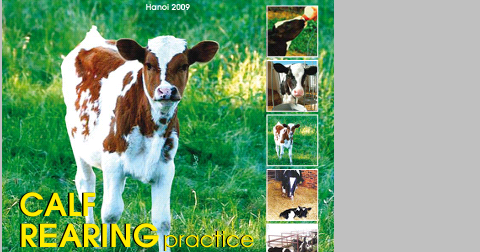 CALF REARING PRACTICE