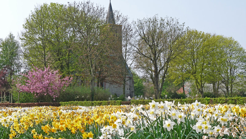 Bali, Cuba, Egypt, France, Italy, the Netherlands and Spain: Hortus ...