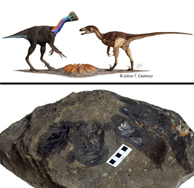 Two Medicine Formation - Alchetron, The Free Social Encyclopedia