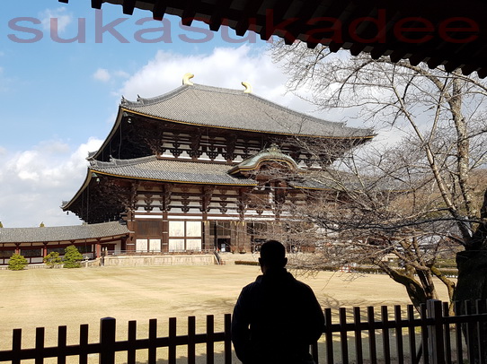 Kuil Todaiji, Bangunan Kayu Terbesar di Jepang - sukasukadee