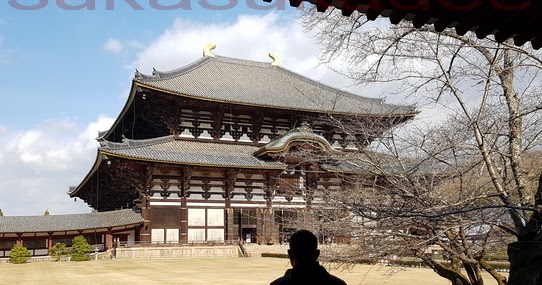 Kuil Todaiji, Bangunan Kayu Terbesar di Jepang - sukasukadee