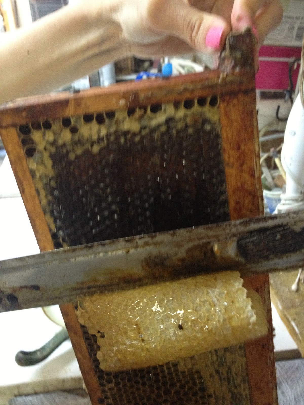 Becoming Beekeepers