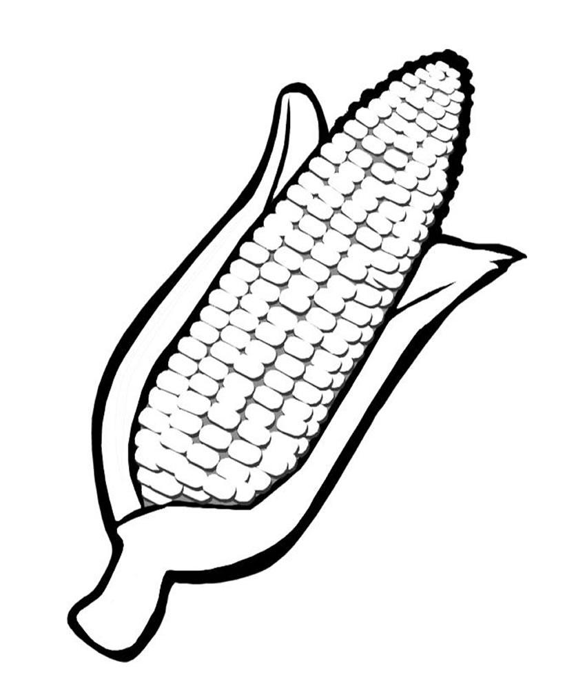 Imagenes de un elote para colorear - Imagui