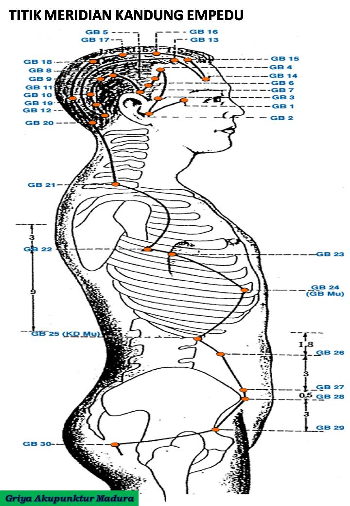 Ilmu Titik Meridian Akupuntur Dan Akupresur