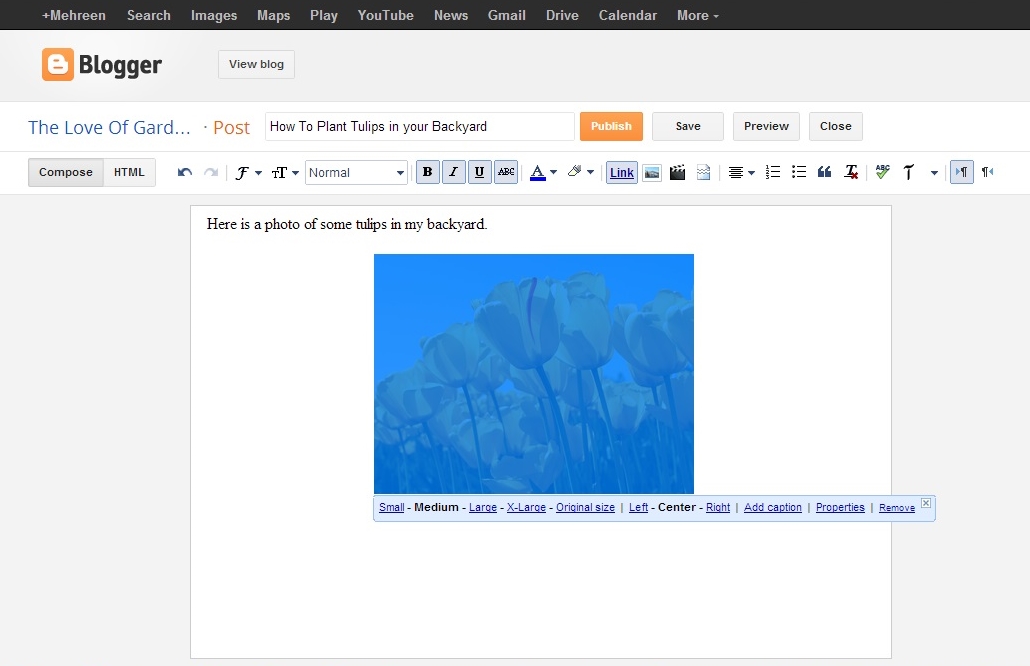 Having Fun With Images In Your Blogger Posts ~ Blogger Help