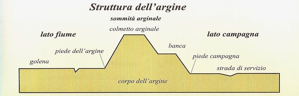 THE SCHOOL WORLD : L'ARGINE E' IMPORTANTE