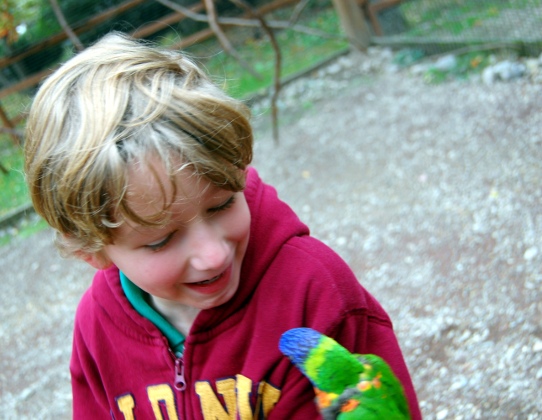 Neo-Homeschooling: 1st Field Trip: Lehigh Valley Zoo (Smart Fun!)