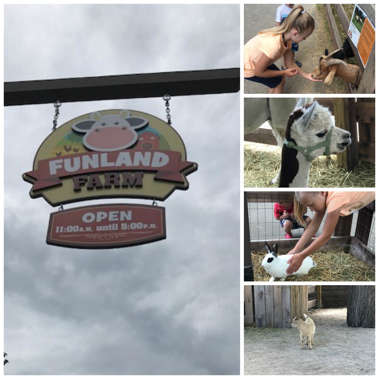 Mommy's Favorite Things: Michigan's Adventure 2017!