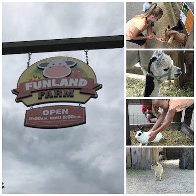 Mommy's Favorite Things: Michigan's Adventure 2017!