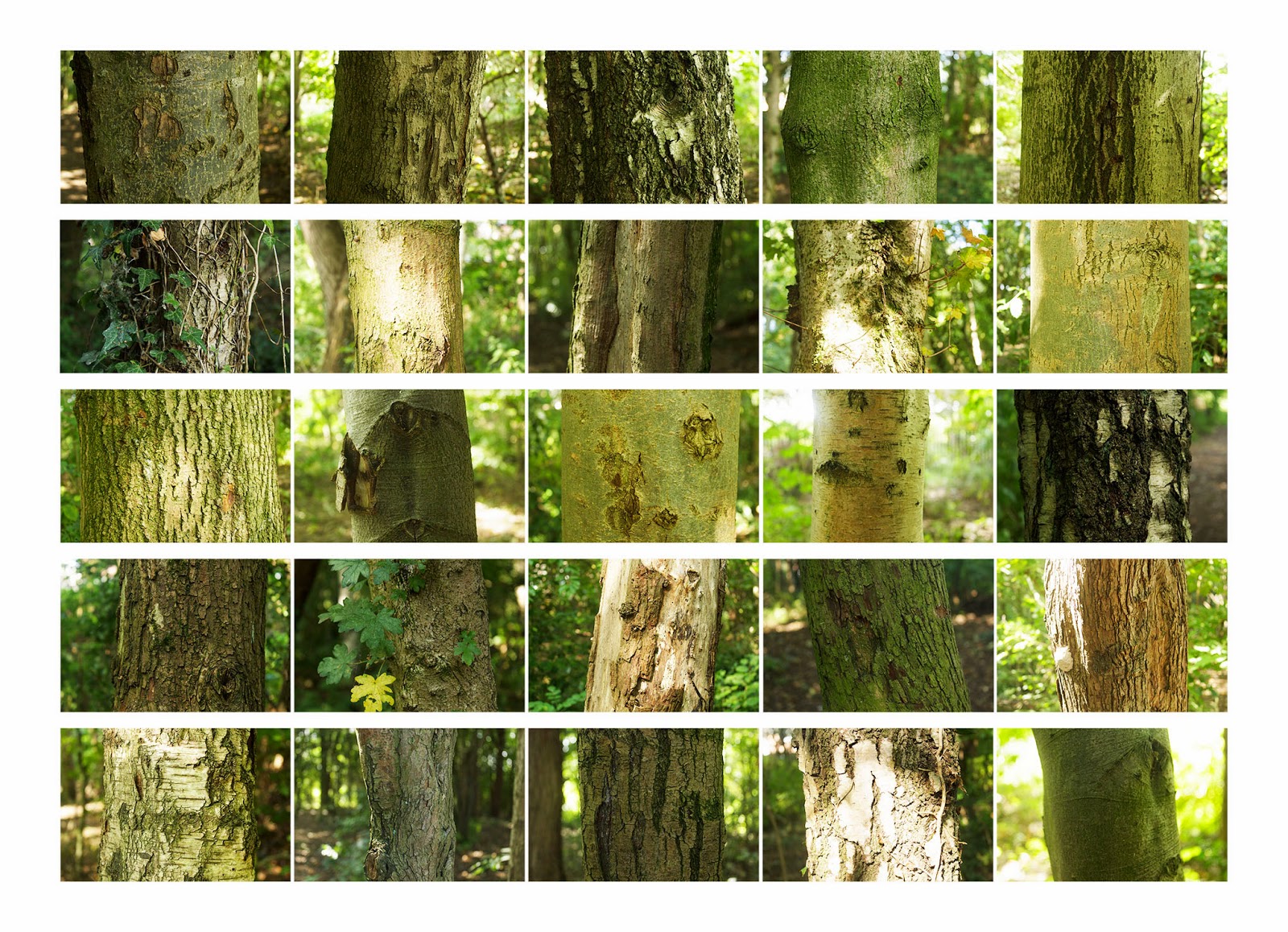 Photography: My Typologies