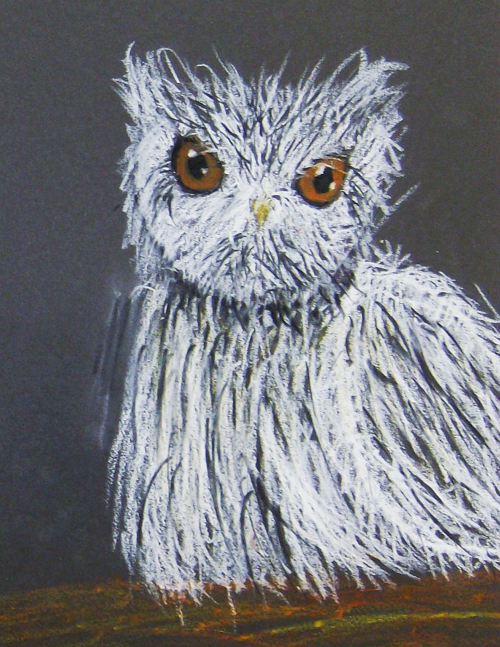 Blackfoot Art Center: Hooty Owls in Oil Pastel