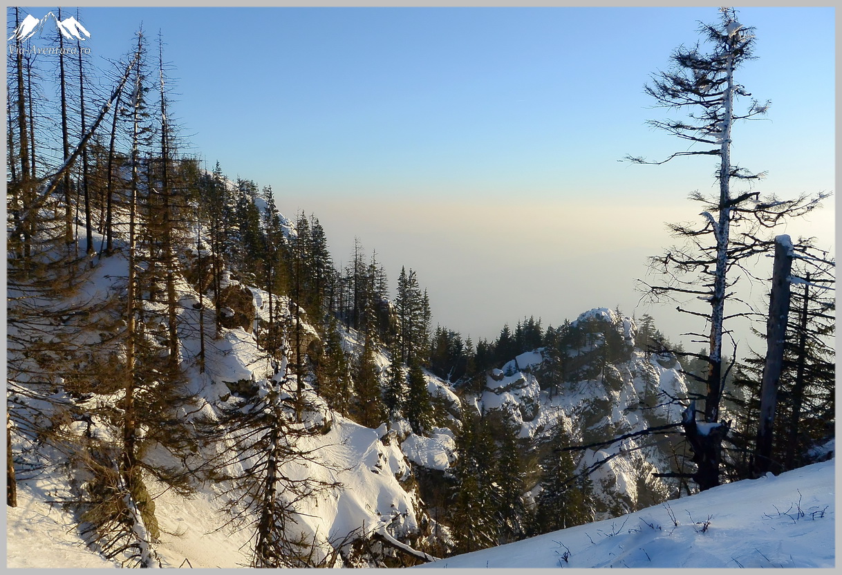 ~ Via Aventura ~: Uneori Muntii Cozia. Alteori Muntii Nucet. Si ce "Coz ...