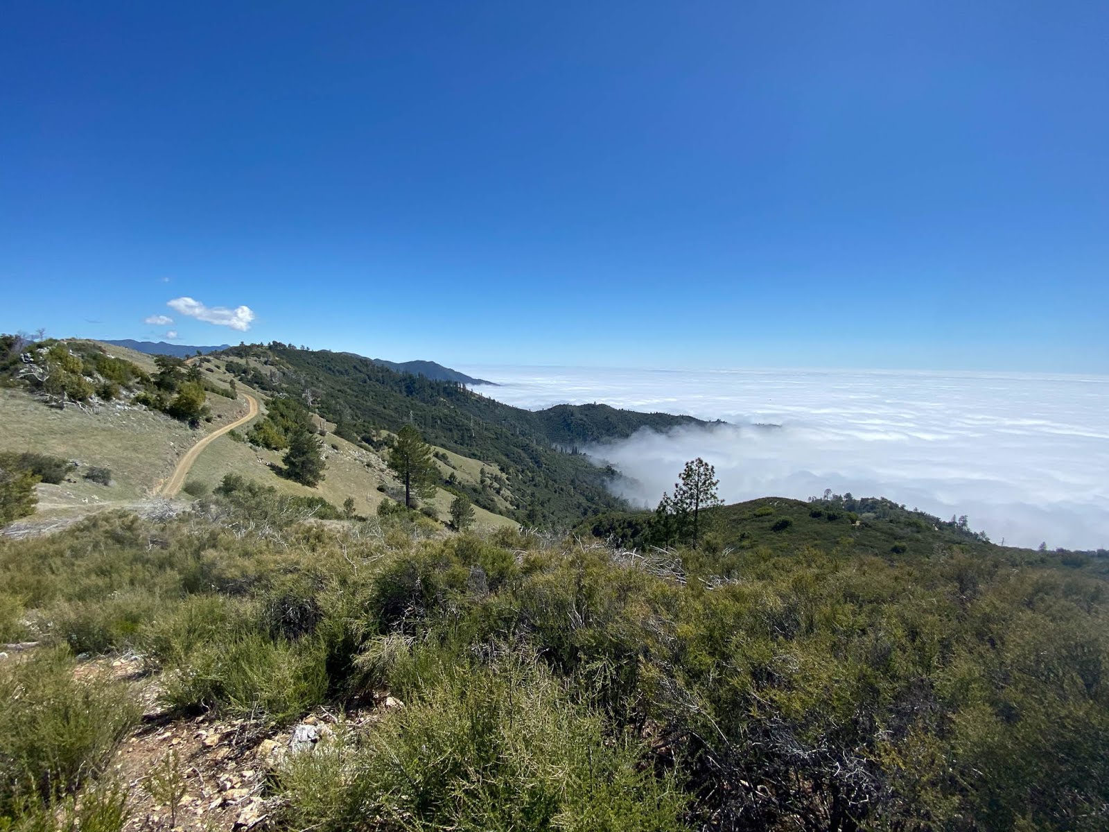 Section Hiking The Condor Trail: Bottchers Gap to Kirk Creek - First ...