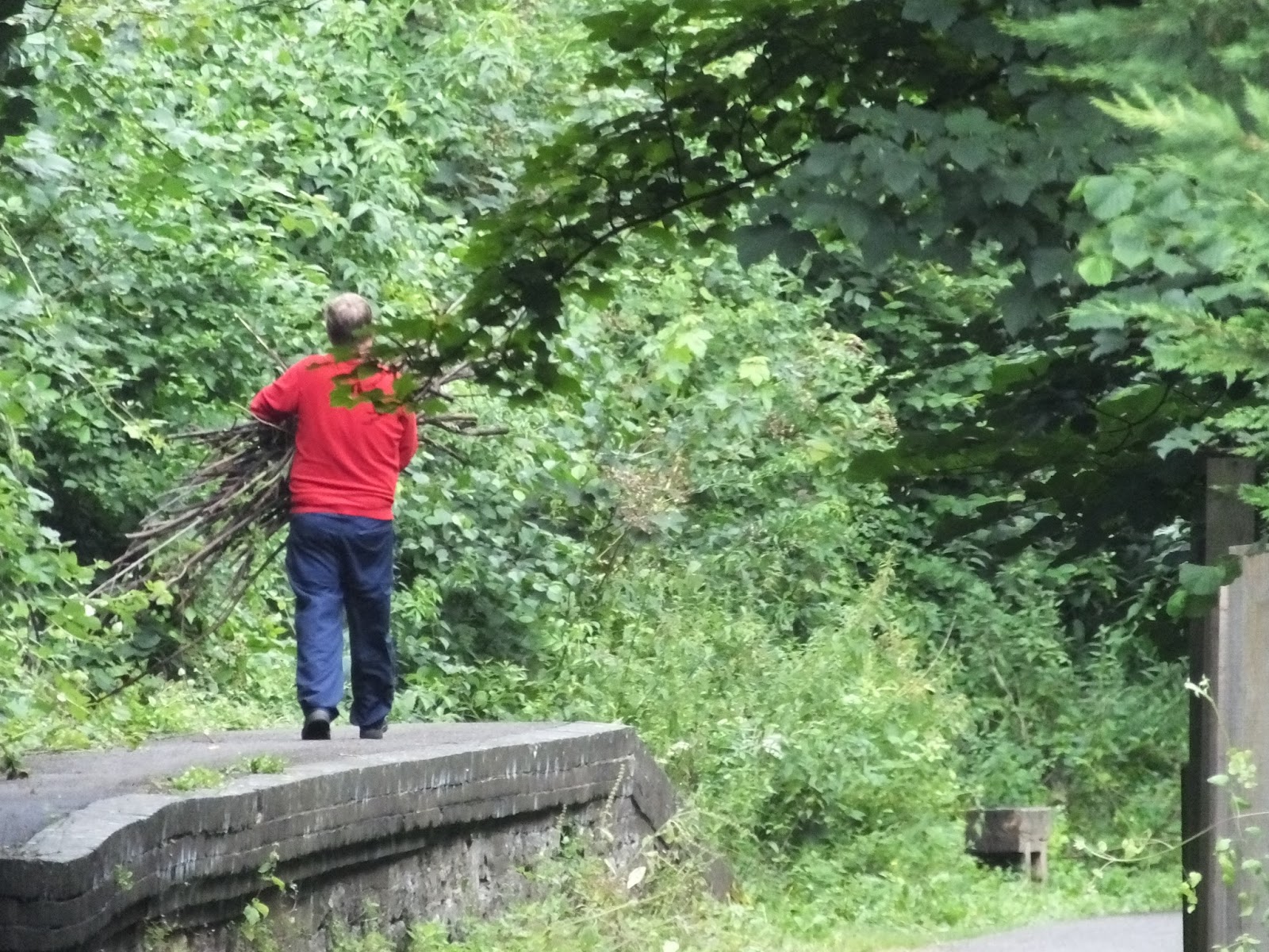 Rail Thing - Friends of the S&D: Midford - we're back!