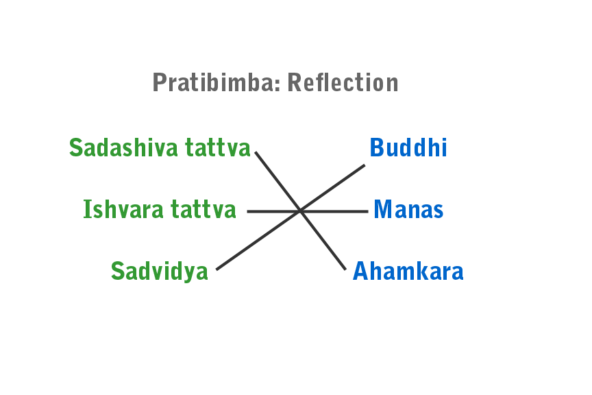 Books: The Sadvidya Deck + Guide (64 Cards)