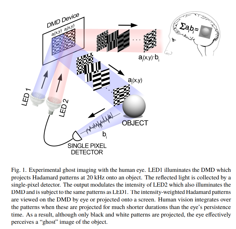 Nuit Blanche: Ghost imaging with the human eye