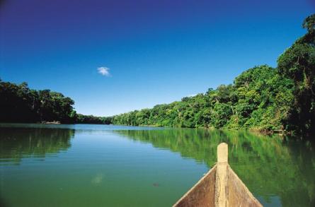 Gateway To The Americas: Welcome To The Jungle