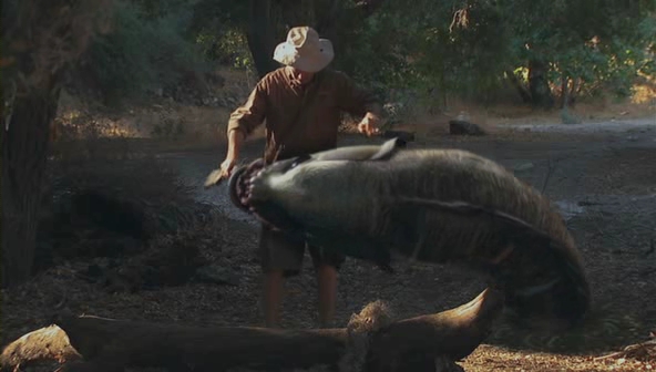 Todo El Terror Del Mundo: Anguilas Asesinas (Razortooth) (Саблезубая ...