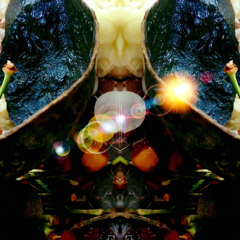 X-Peri: David Alpaugh, Four Double-Title Poems