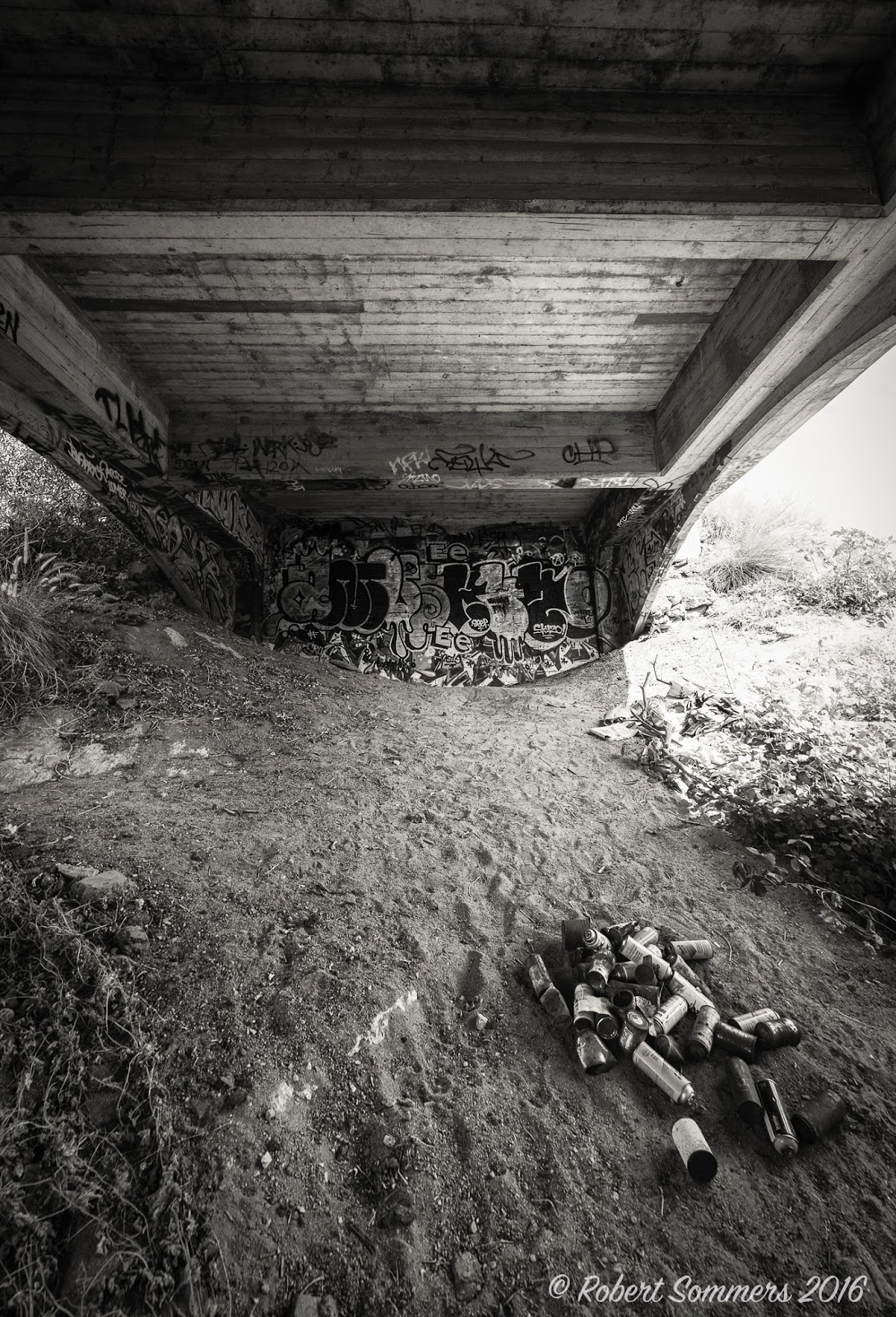 Blue Heron Blast: Old Bonsall Bridge