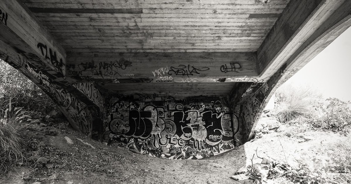 Blue Heron Blast: Old Bonsall Bridge