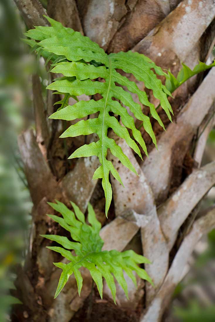 Bob's Photos: May 2013