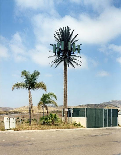 Bollywood and Hollywood: Camouflaged Cell Phone Towers
