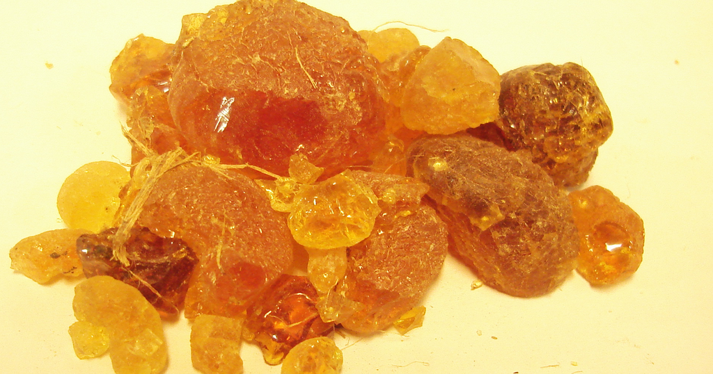 John Moore Stellenbosch University Grape Cell Wall Research Laboratory ...