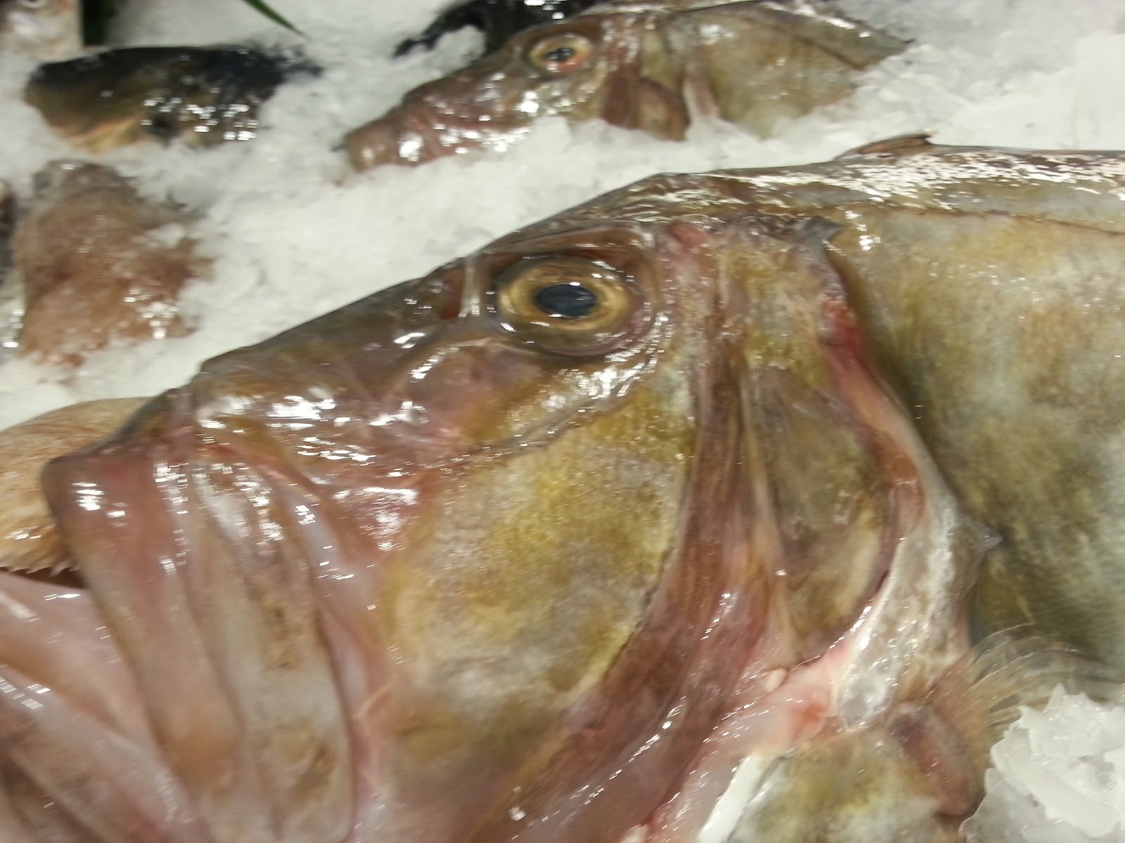 Les poissons par Dominique