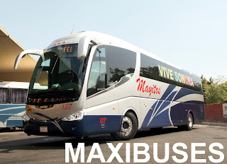 MAXIBUSES: AUTOBUSES LOS MAYITOS