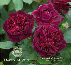 JF Floral Couture: David Austin Roses for Wedding