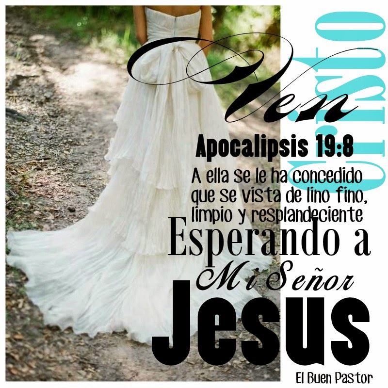 YO SOY EL BUEN PASTOR: Apocalipsis 19:8