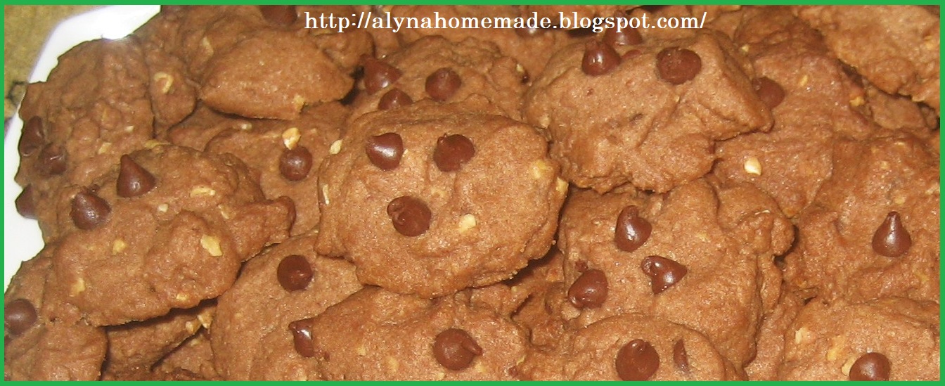 Alyna's Recipes And Stories: Biskut Coklat Cip