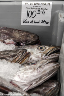 Through the Gaps! - Newlyn Fishing News: 01/10/18 - 01/11/18 Cornwall ...