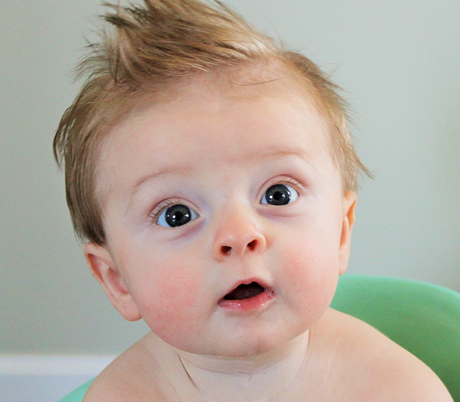 MINNESOTA BABY: Baby jimmy: The first 6 months.