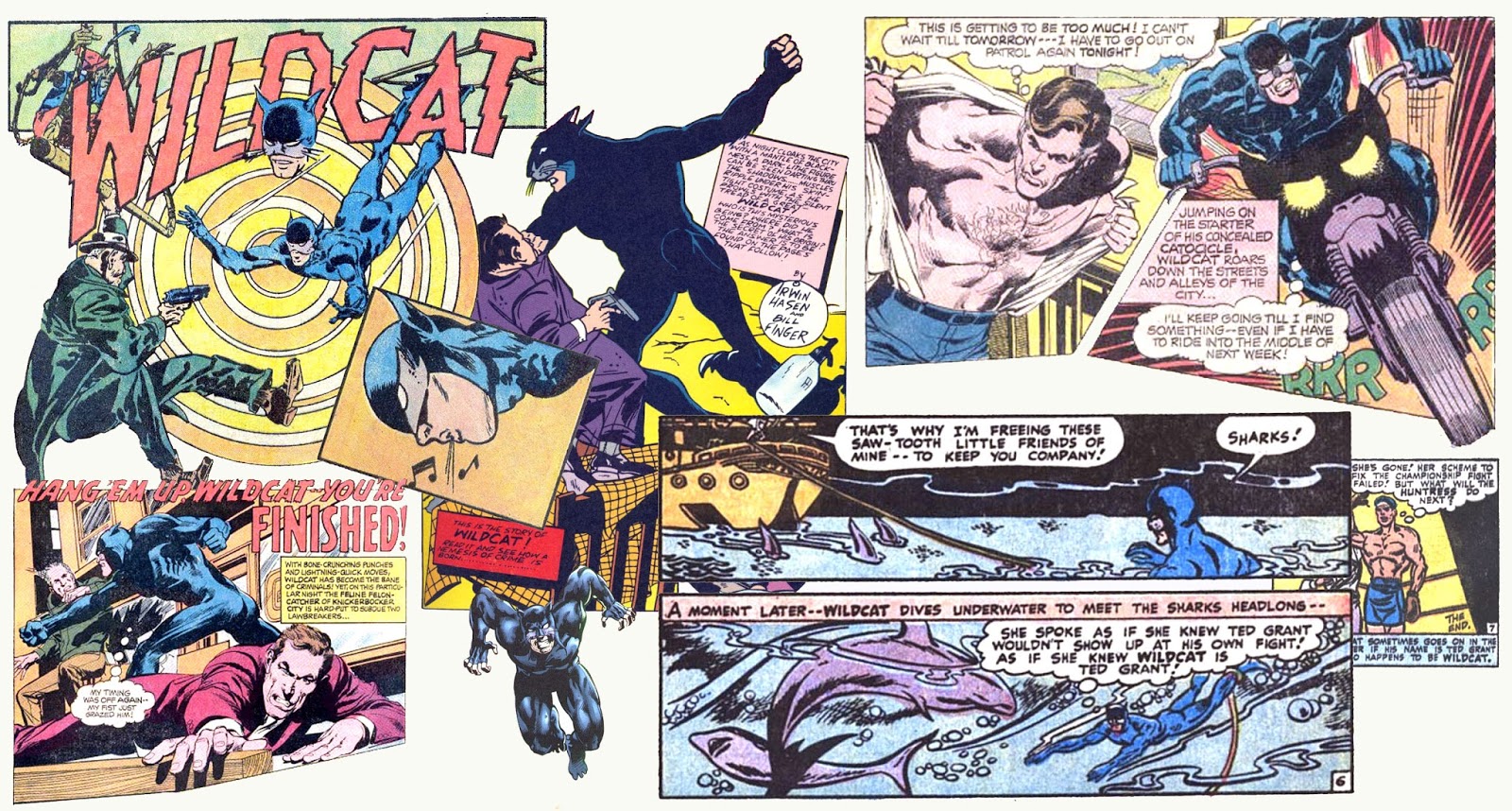 Odin's Ravens: A Cool Cat Who Was Meta Before Meta Was Cool