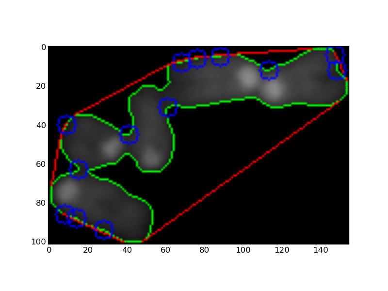 DIP4FISH: Convexity defects in a cluster of mouse chromosomes