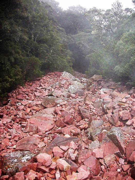 Goin' Feral One Day At A Time: Claude Road to Mount Roland, Mount ...