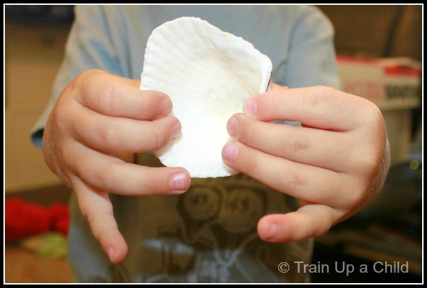 Exploring the Sense of Touch ~ Learn Play Imagine