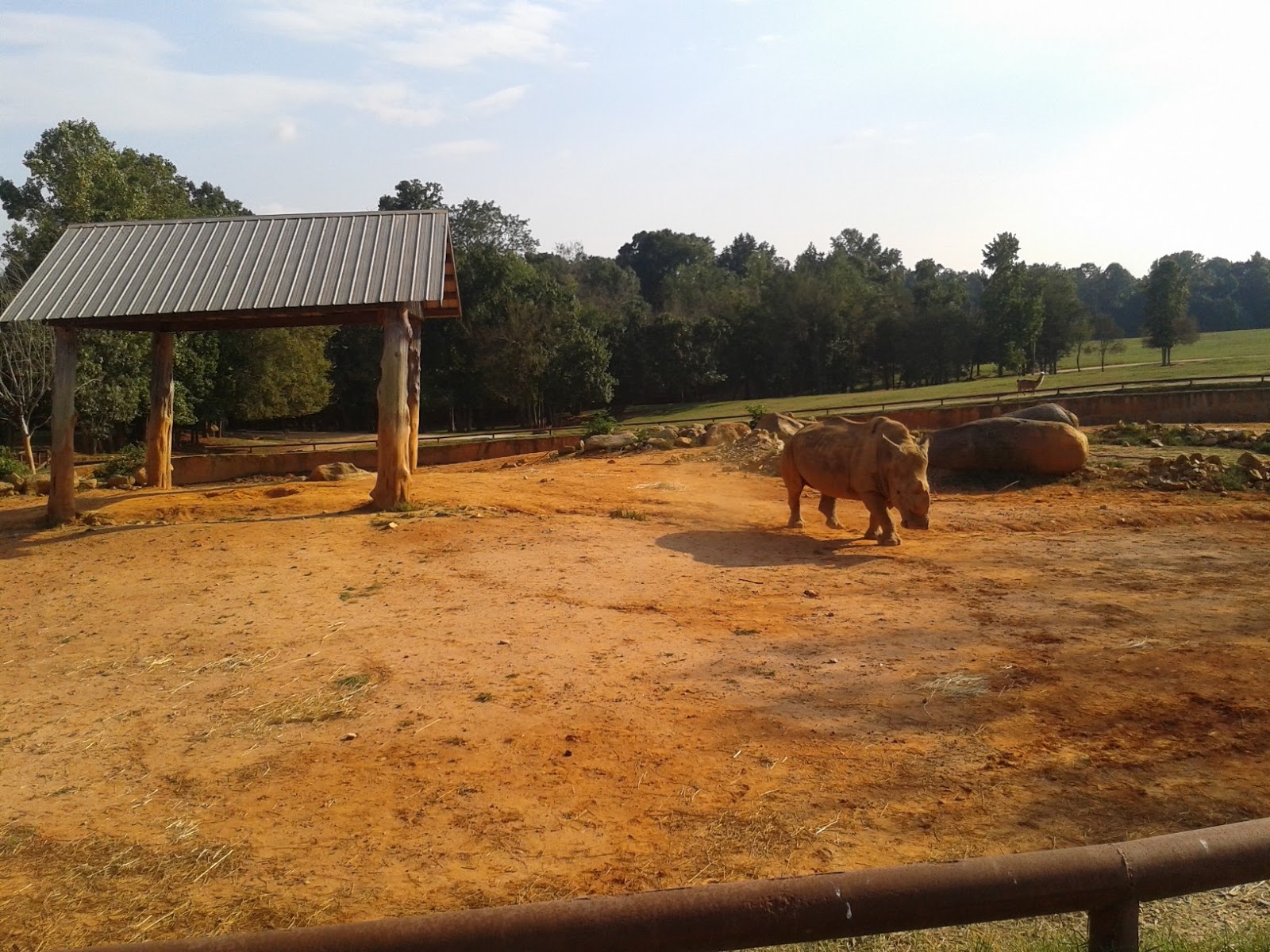 My First Time: Lazy 5 Ranch In Mooresville ~ Grown People Talking