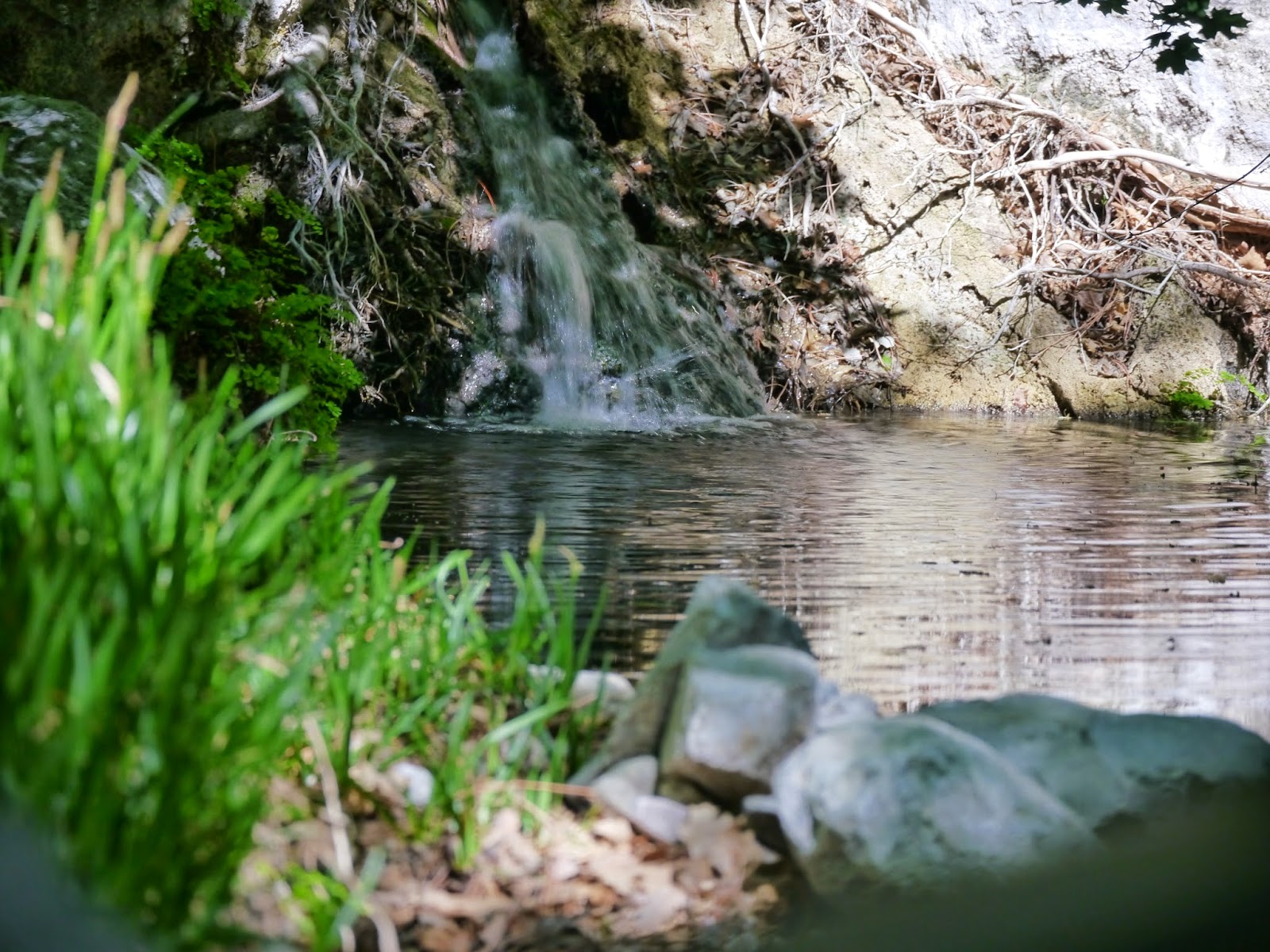 American Travel Journal: Smith Spring Loop Trail - Guadalupe Mountains ...